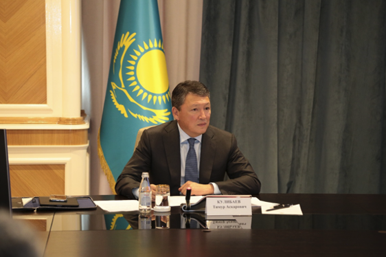 Timur Kulibayev: academic and professional profile, achievements